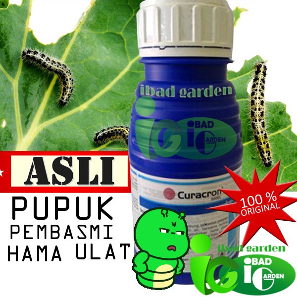 Jual pupuk insektisida Curacron pembasmi hama ulat & kutu