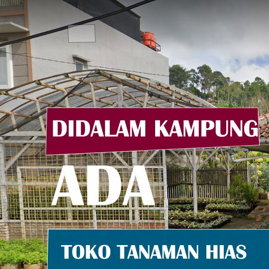 Toko Tanaman Hias Di Usung Para Petani Di Kampung